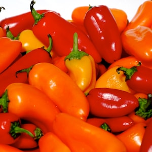 Heirloom Pepper Seeds - Etsy