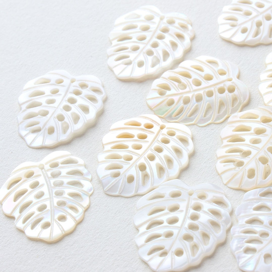 6pcs Naturally Shell Charm, Hollow Monstera Shell Pendant, Shell ...