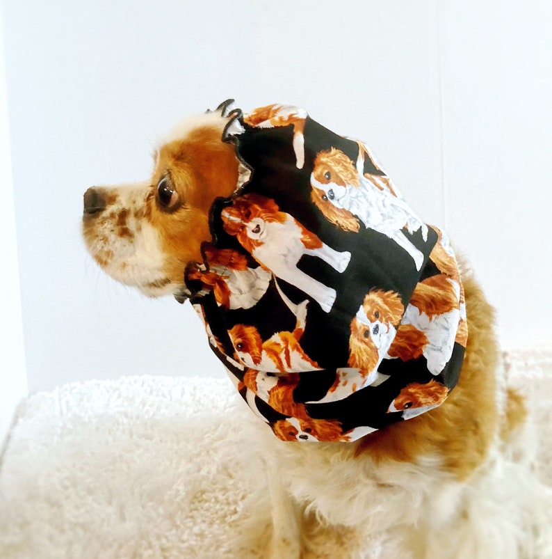 Cavalier Dog Snood Cotton Pet Snood Cavalier King Charles - Etsy