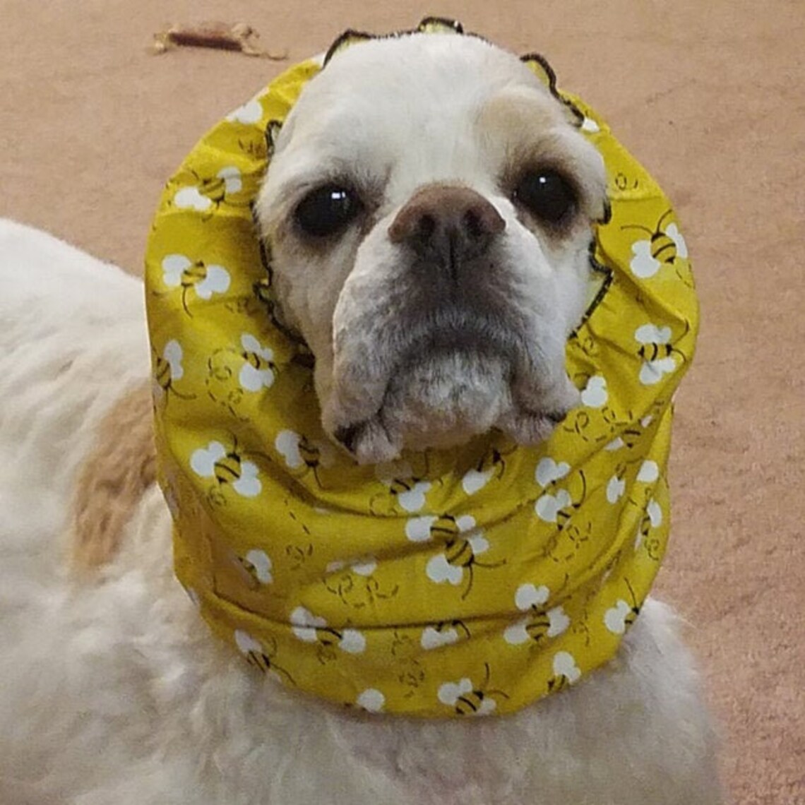 Yellow Bees Dog Snood Cotton Pet Snood Cavalier King Charles | Etsy