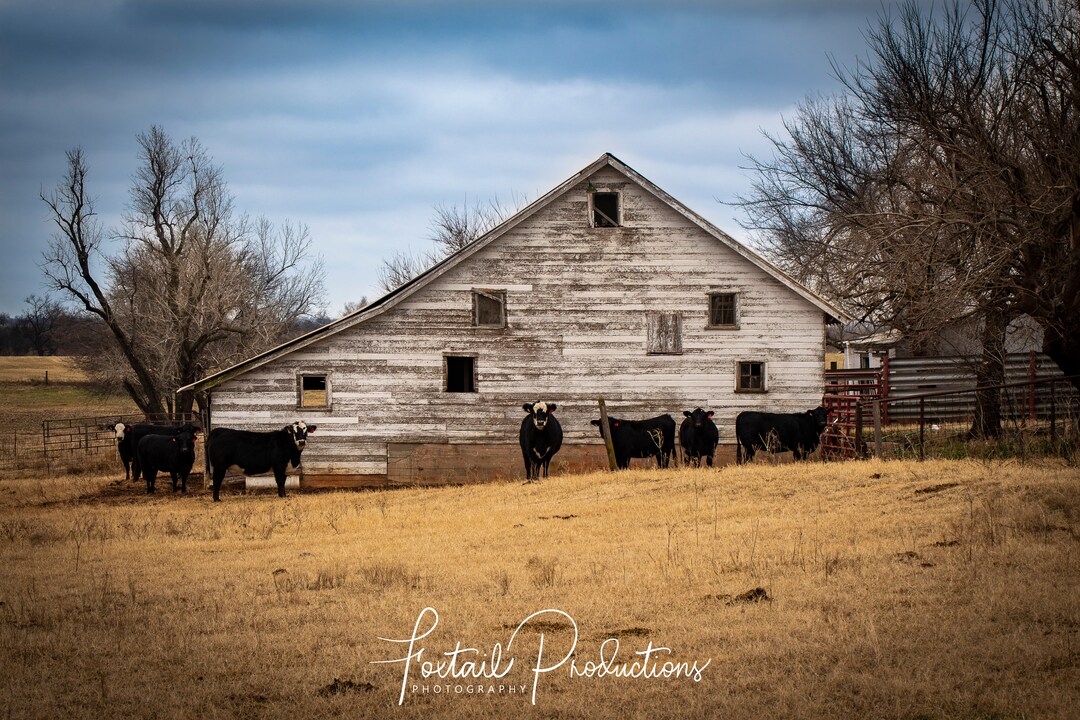 Barn Wood Print - Landscape Photography - A Farmhouse Hangout Rustic ...