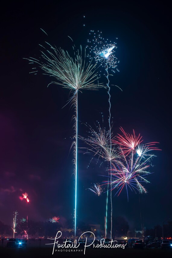 Fireworks Photography Print palm Tree Paradise | Etsy