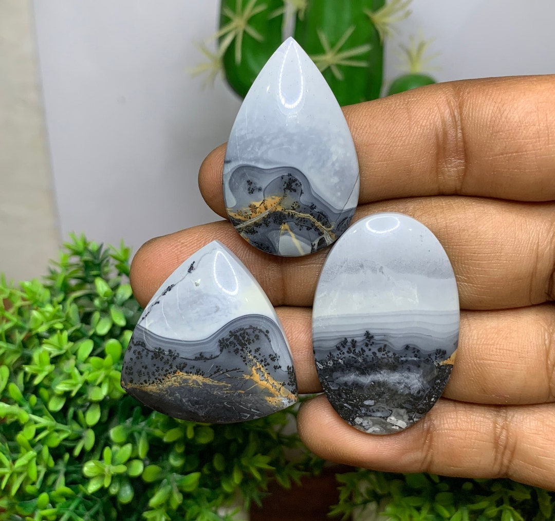 FOSSIL PALM ROOT Pairs Best Quality Couple Stone From Indonesia - Etsy