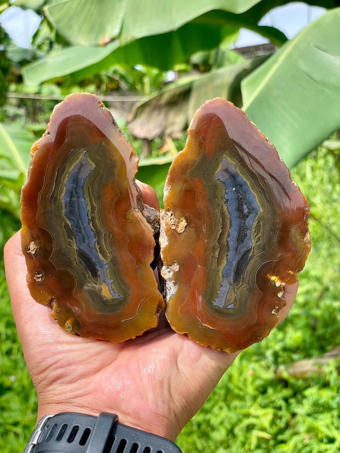 Amazing Agate Timor Island - for Collection - Etsy
