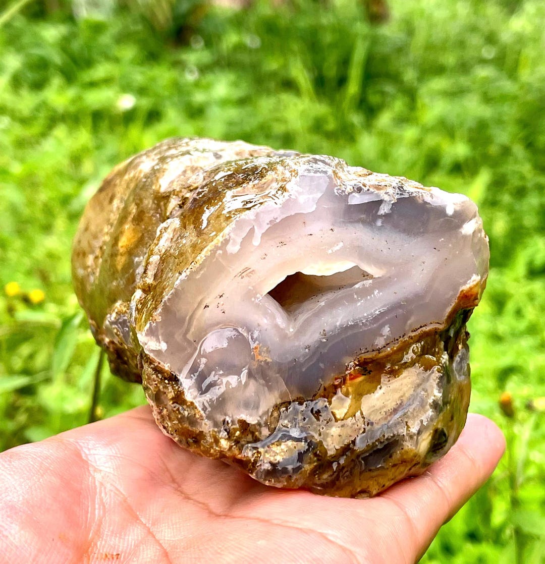 Rare Petrifiedwood Agatized Natural Stone Very Beautiful for Collection ...