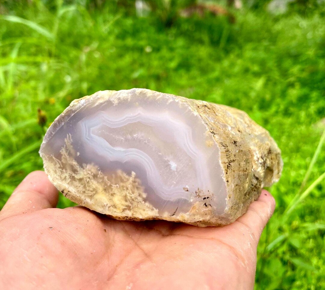 Rare Petrifiedwood Agatized Whit Moss Speciment Style for Collection - Etsy