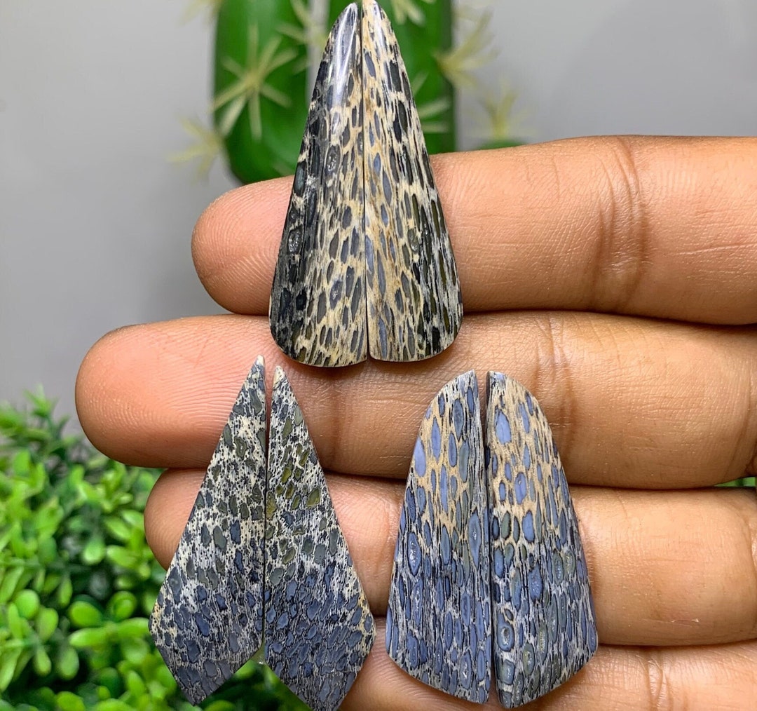DINO BONE Fossil Pairs | Best Quality | Couple Stone | From Indonesia ...