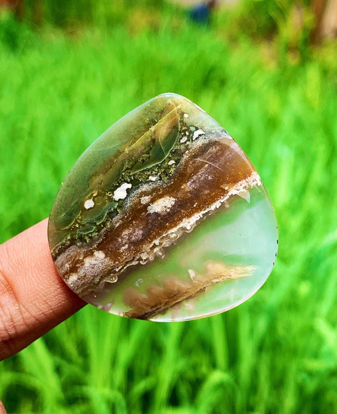 Beautiful MOSS AGATE in Petrified Wood - Etsy