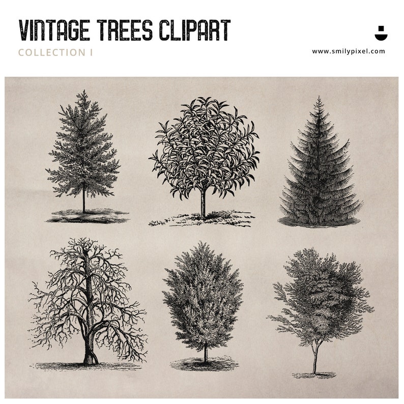 Vintage Tree Clipart and Graphics Collection Printable | Etsy