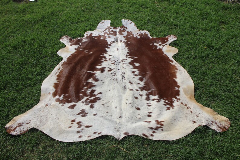 Amazing Brown Cowhide Rug Brown and White Cow Skin Rug Cow - Etsy
