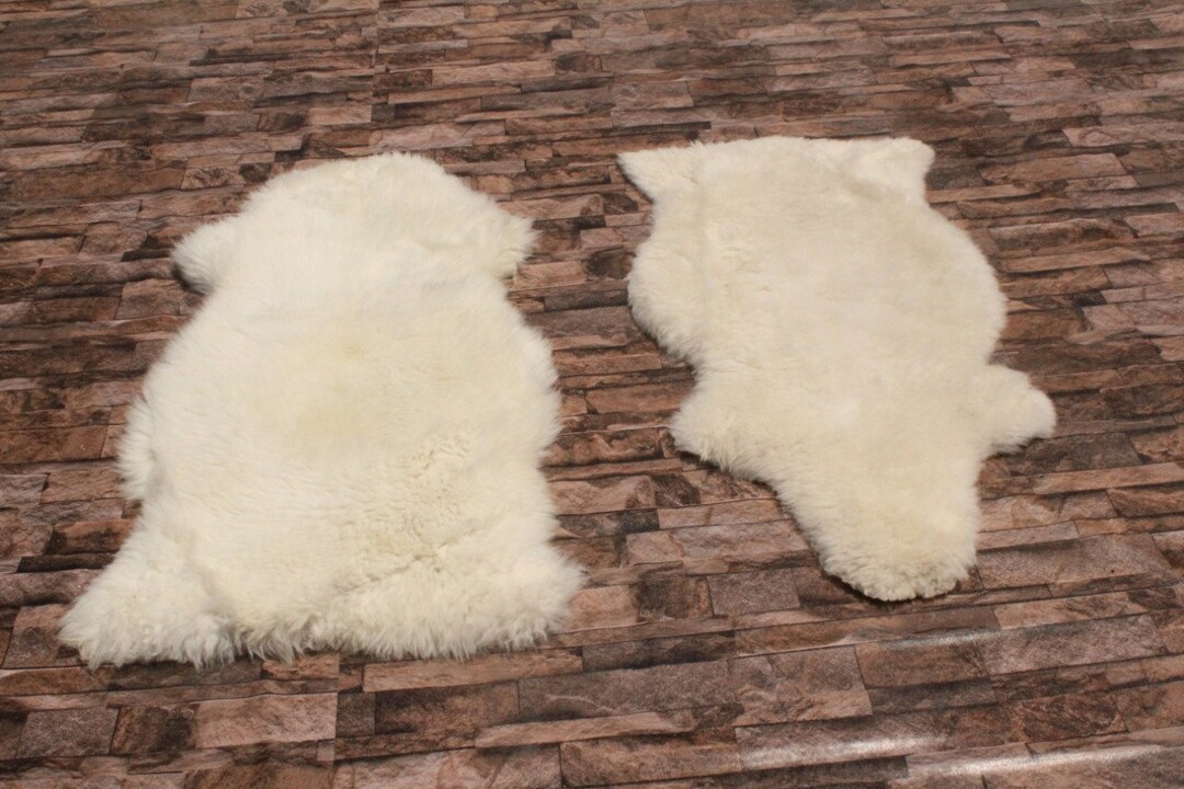 Pack of 2 Genuine Real Sheepskin Rug Single Sheep Skin Rug - Etsy