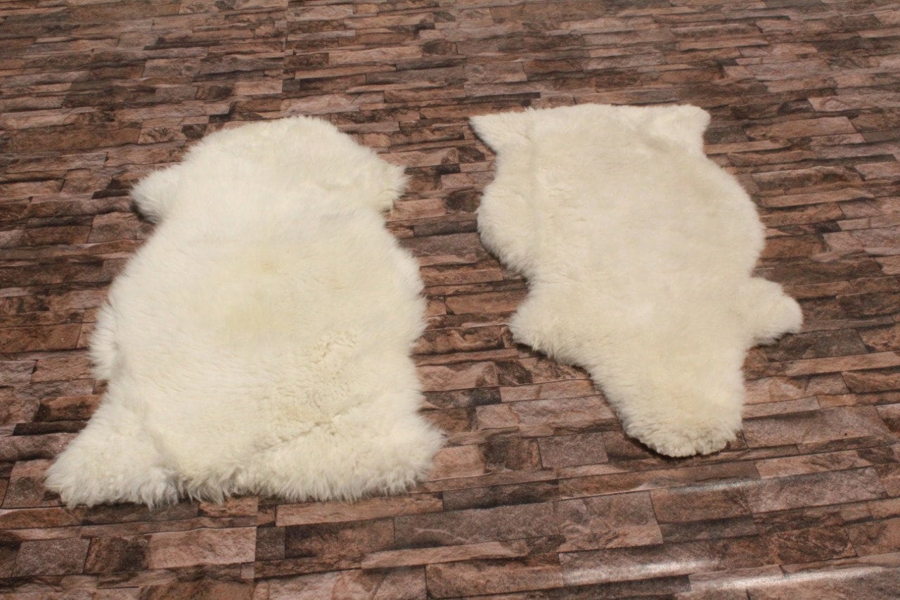 Pack of 2 Genuine Real Sheepskin Rug Single Sheep Skin Rug | Etsy