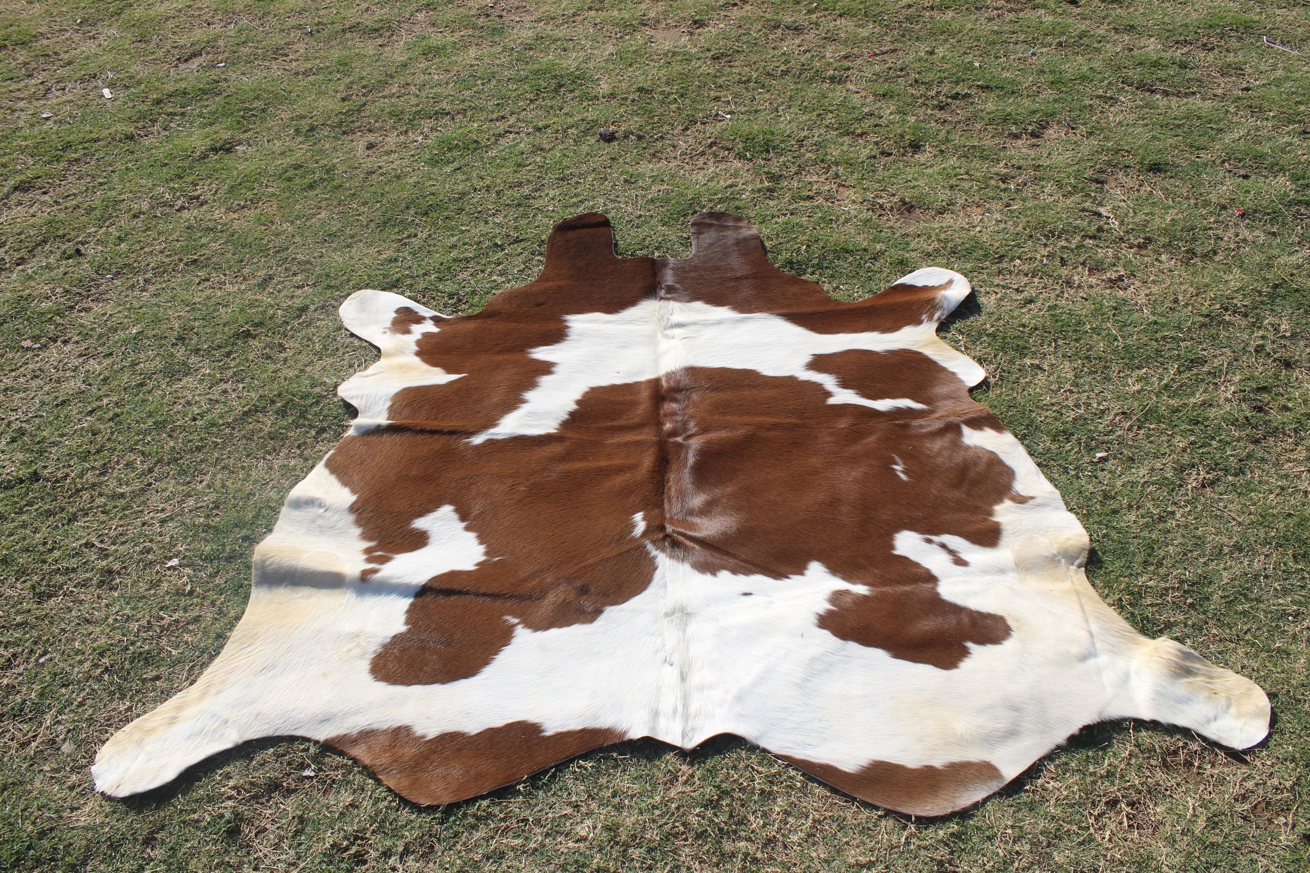 Amazing Brown Cowhide Rug Brown and White Cow Skin Rug Cow - Etsy