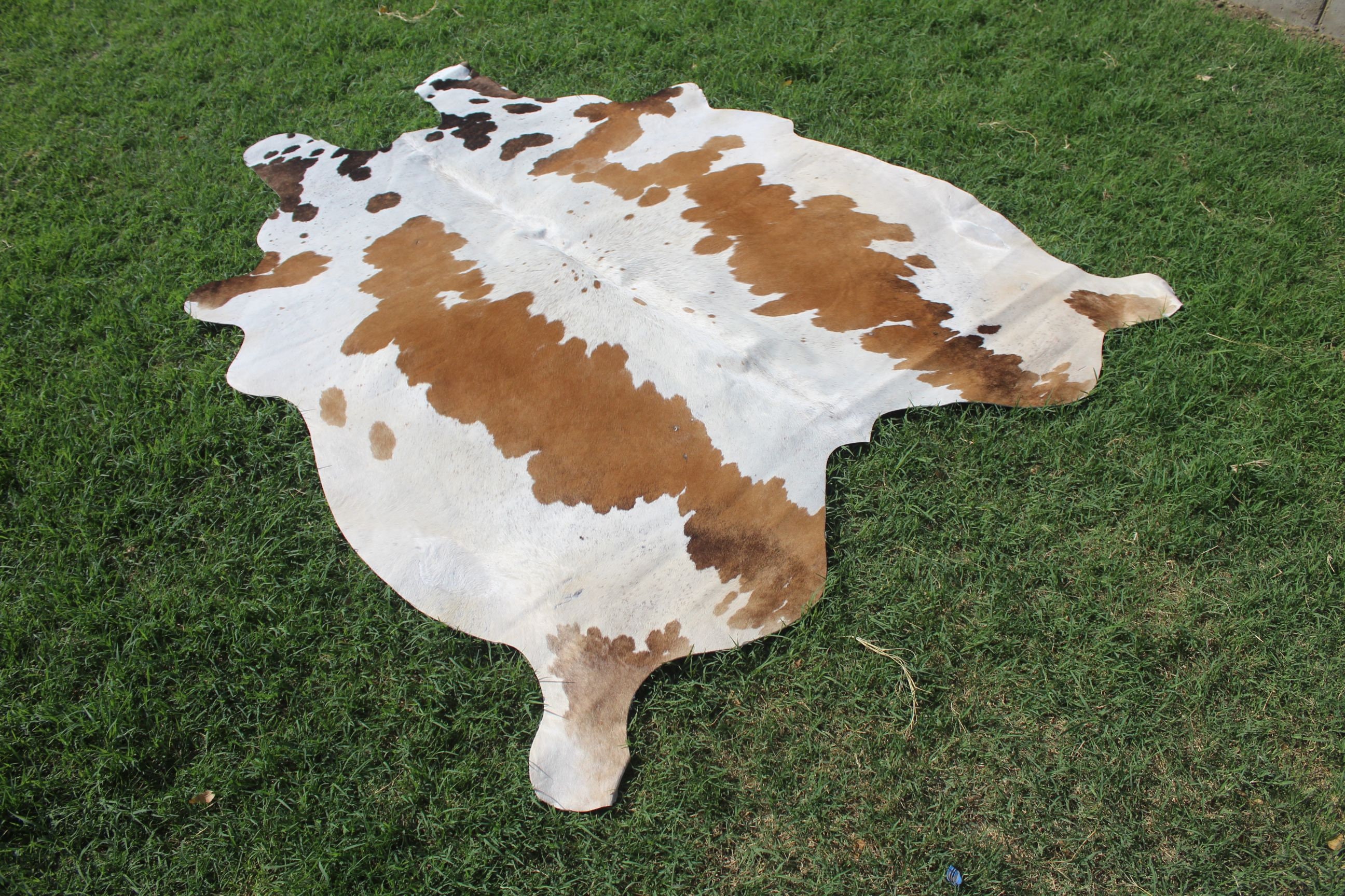 Amazing Brown Cowhide Rug Brown and White Cow Skin Rug Cow - Etsy