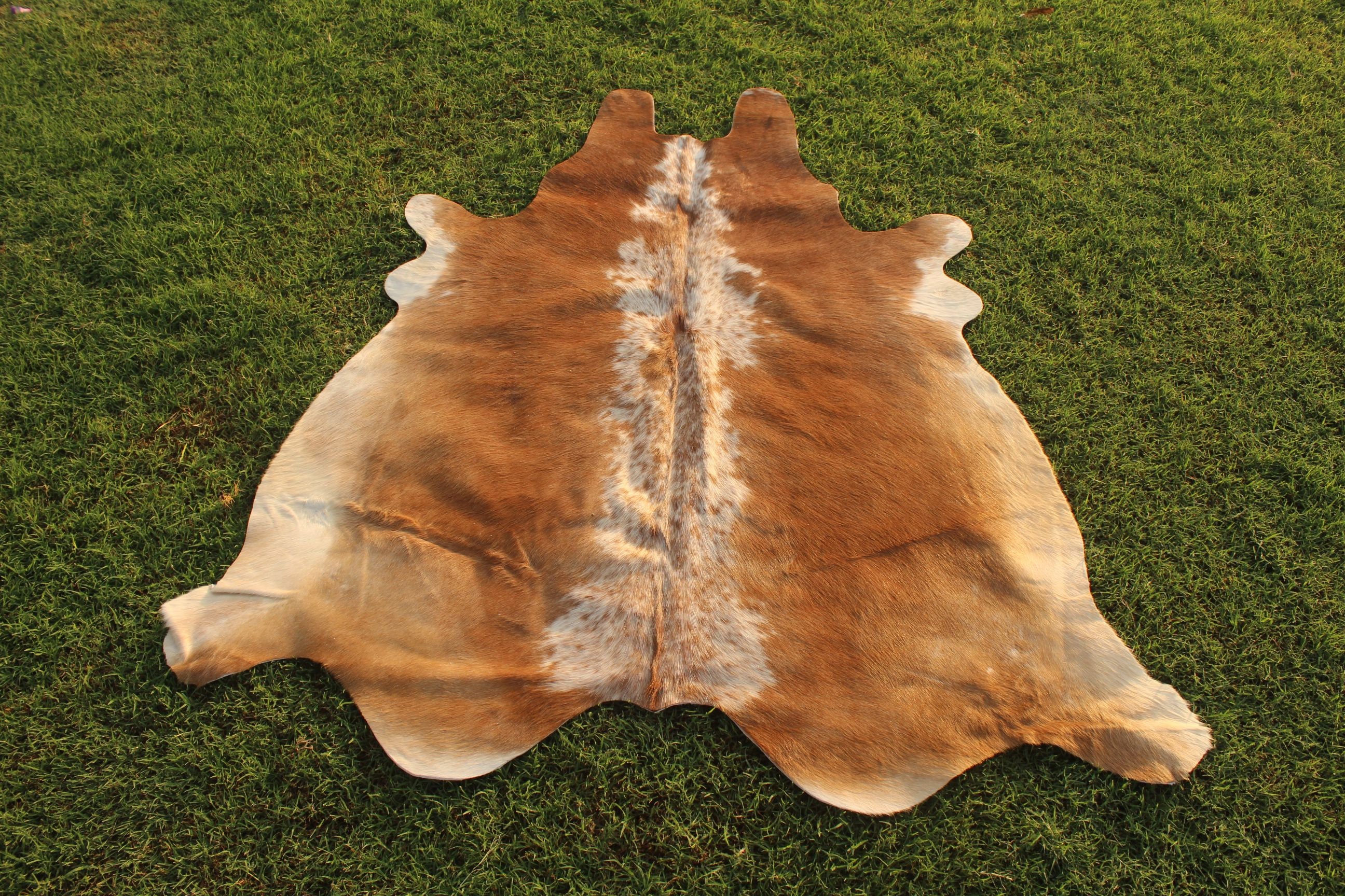 Amazing Brown Cowhide Rug Brown and White Cow Skin Rug Cow - Etsy
