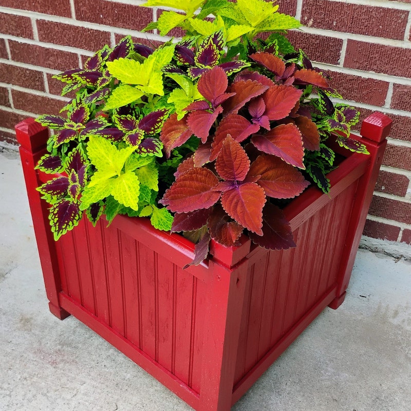 Unique Planters - Etsy