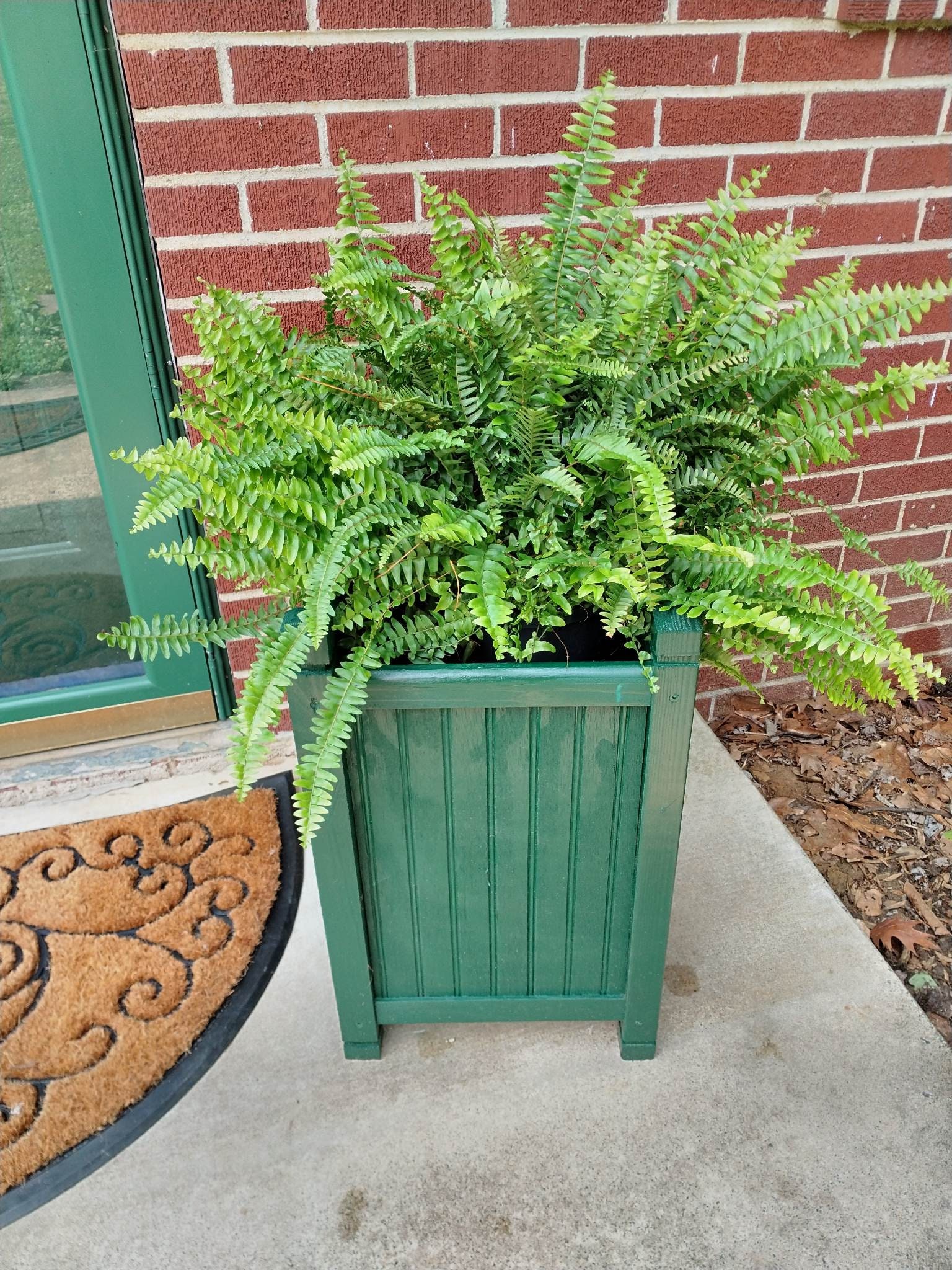 Tall Cambridge Planter, Wainscot Southern Yellow 14" X 14" X 24" Tall ...