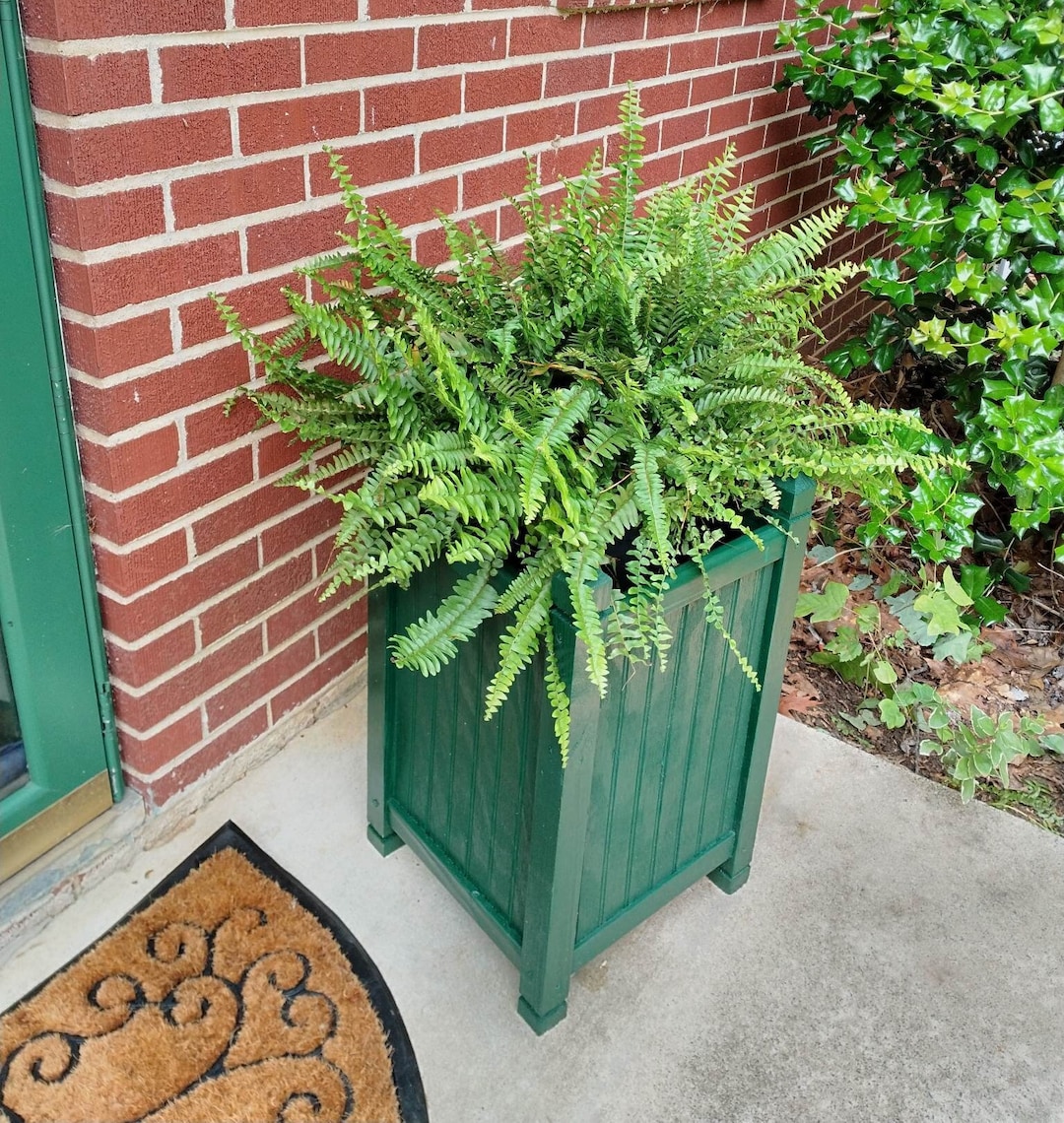 Tall Cambridge Planter, Wainscot Southern Yellow 14" X 14" X 24" Tall ...