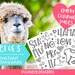 Llama Coloring Pages Llama Birthday Llama Party Printable Coloring ...