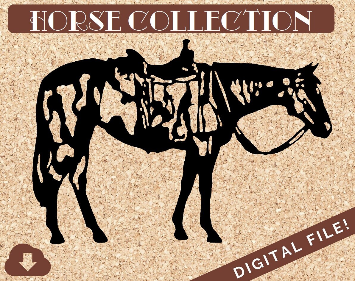 Horse & Saddle SVG File for Cricut Design Clipart - Etsy