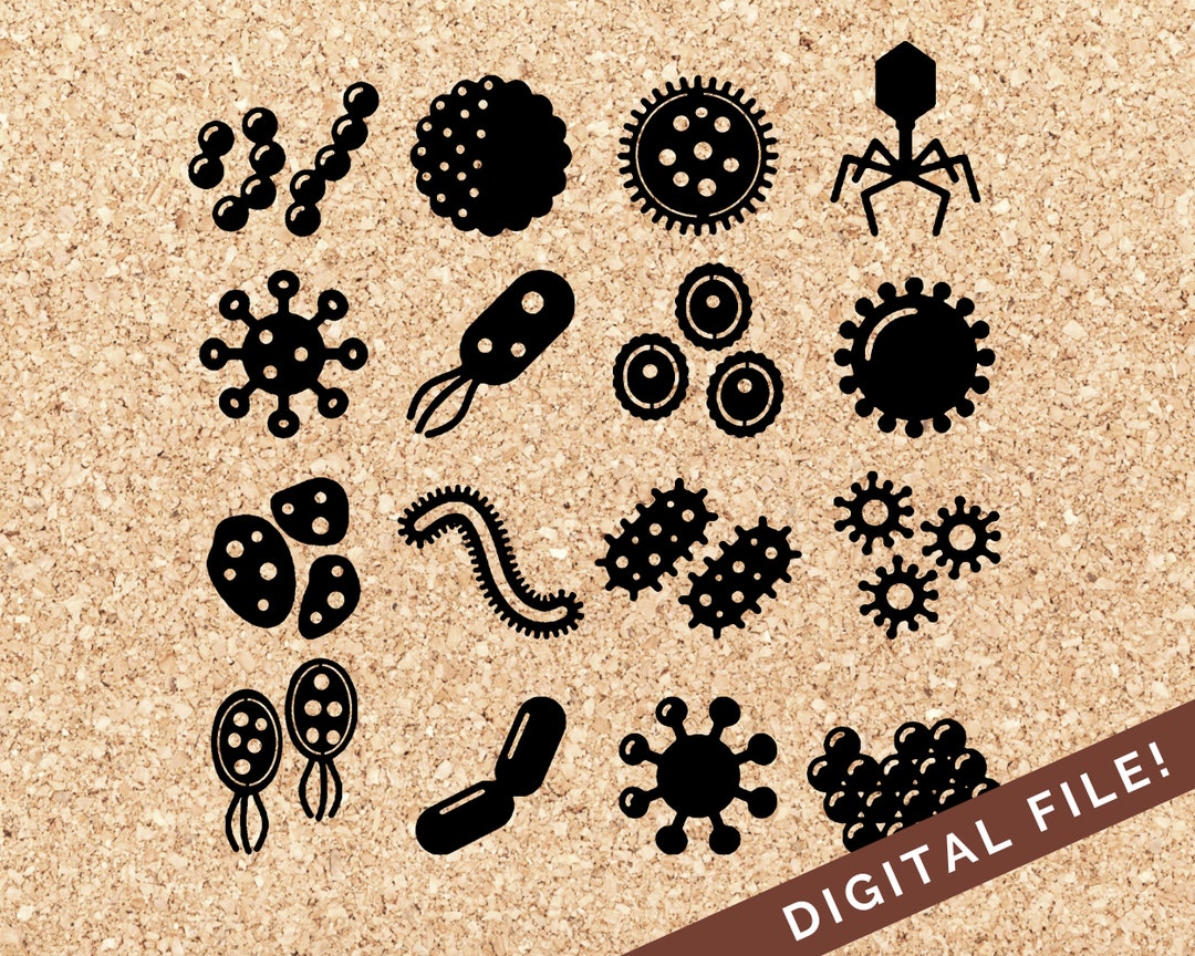 Mold & Virus | Cricut SVG Cut File, PNG JPG Clipart, Printable Science ...