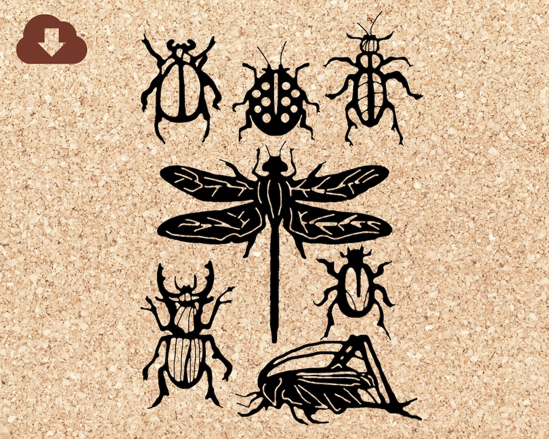 Insect Bundle SVG Cut Files for Digital Download. JPG PNG. Use With ...