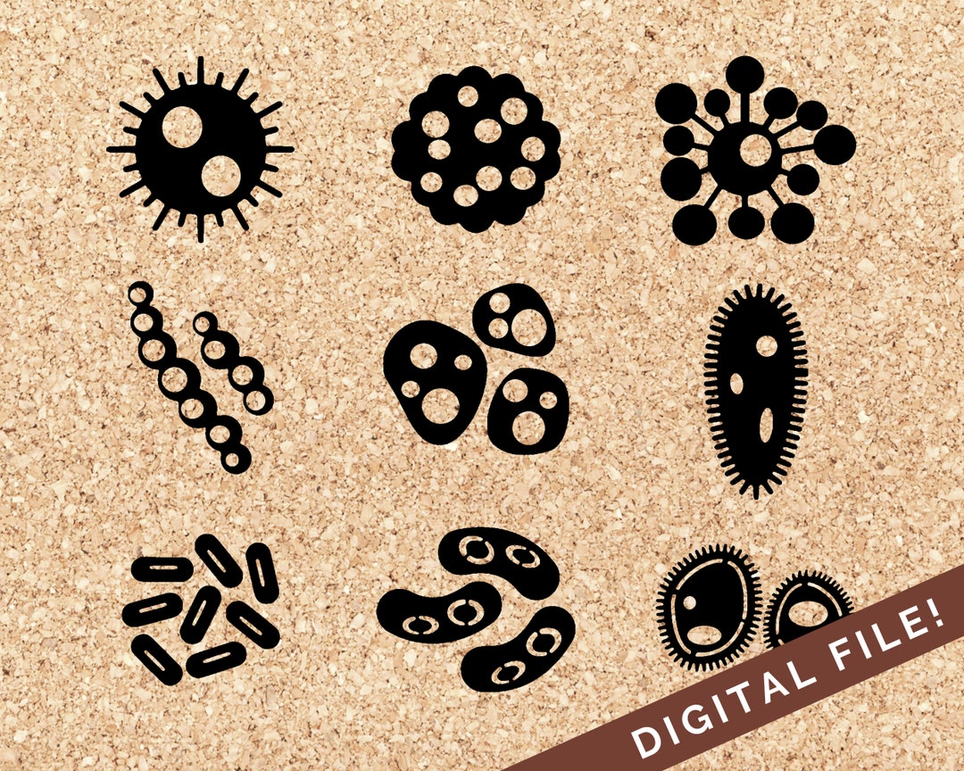 Bacteria & Virus — Cricut SVG Files, PNG JPG Clipart, Science Teaching ...
