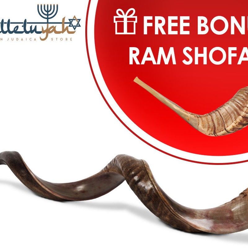 Shofar - Etsy