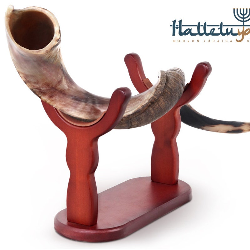 Shofar From Israel - Etsy