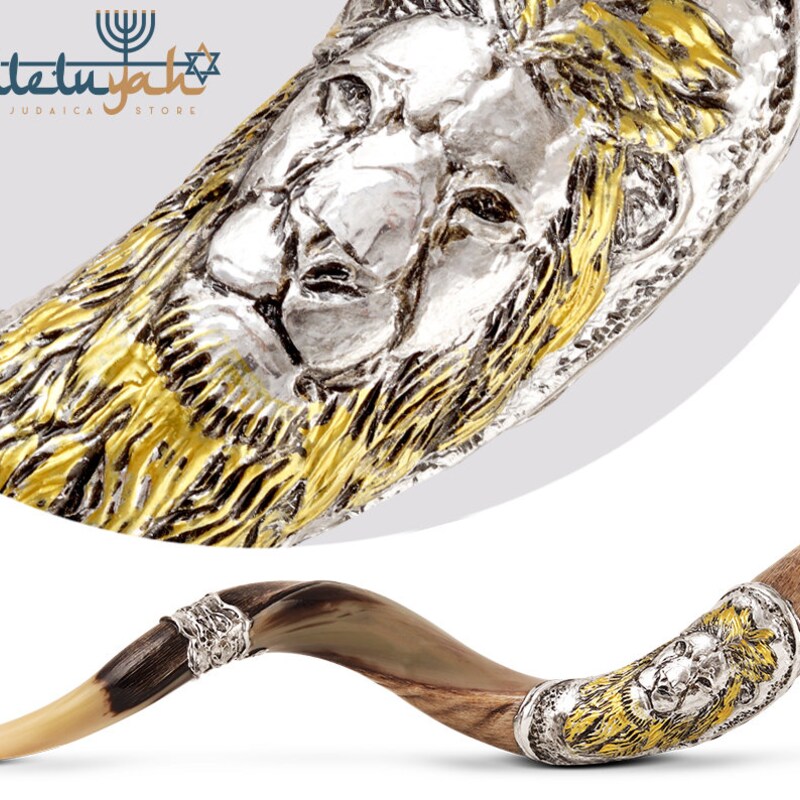 Shofar From Israel - Etsy