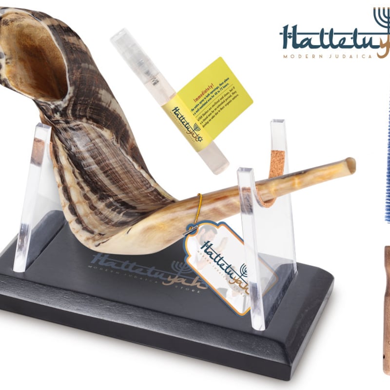 Shofar From Israel - Etsy