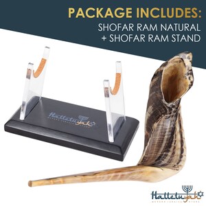 Halleluyah Shofar Set – Authentic Ram Horn Shofar From Israel Includes ...