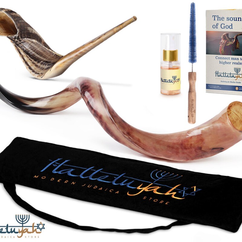 Jewish Ram Shofar - Etsy