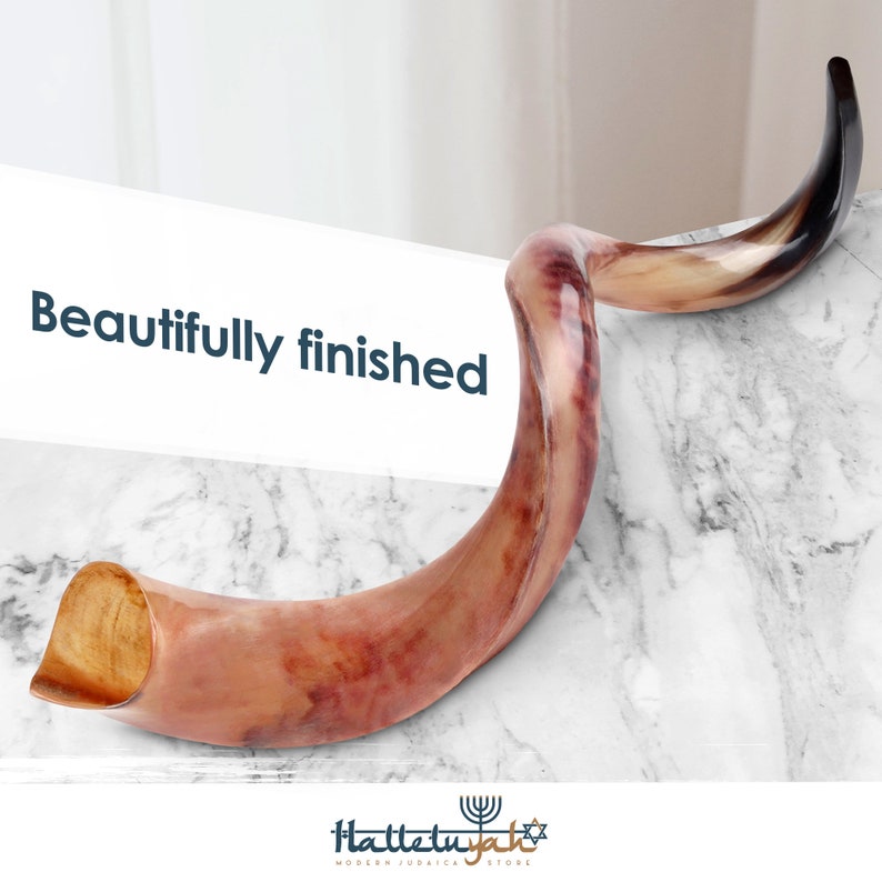 Halleluyah Original Kosher Fully-polished Kudu Shofar - From Israel - Etsy
