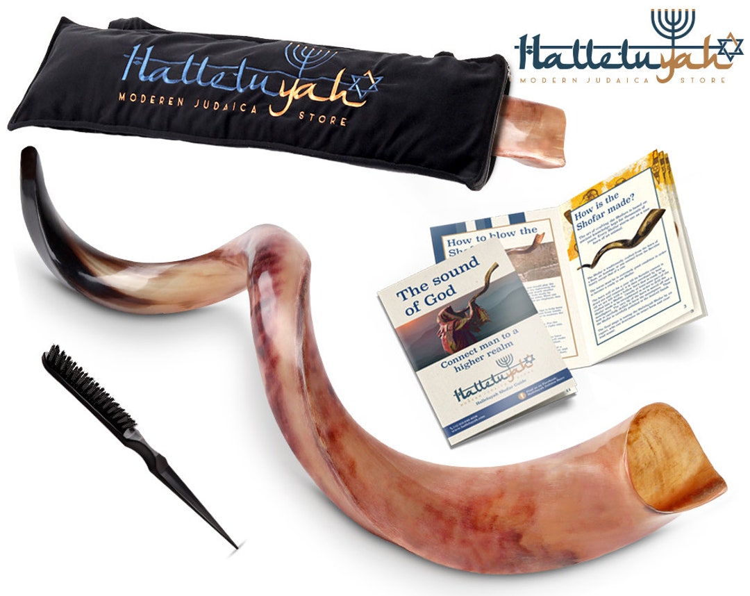 Halleluyah Original Kosher Fully-polished Kudu Shofar From Israel - Etsy