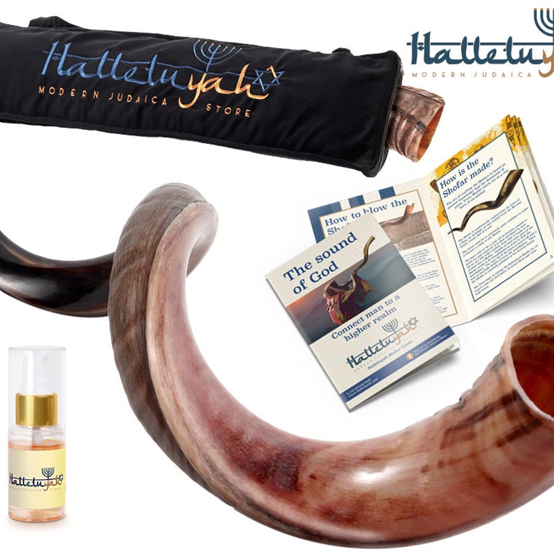 Shofar From Israel - Etsy