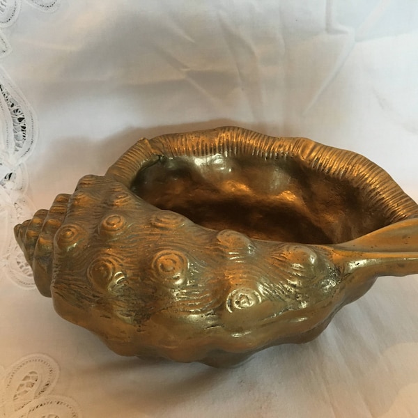 Conch Shell Planter - Etsy