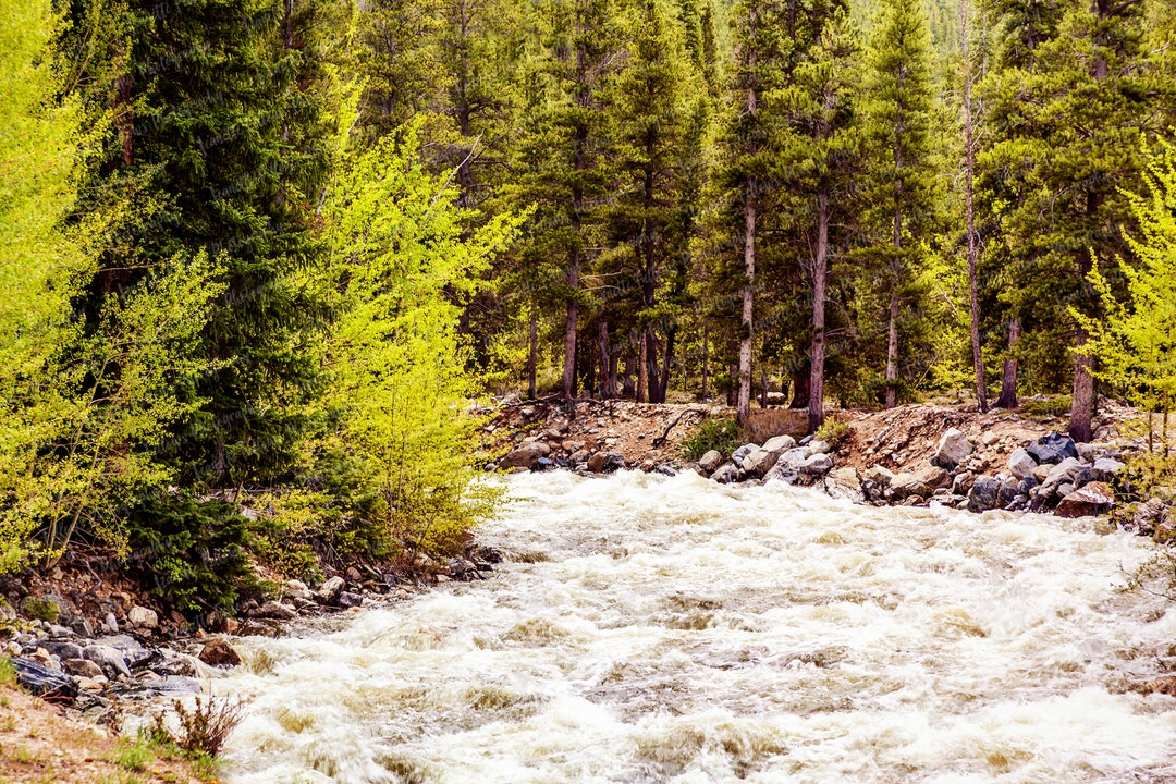 Rapids Officer's Gulch Colorado Rocky Mountains Early Summer, Landscape ...