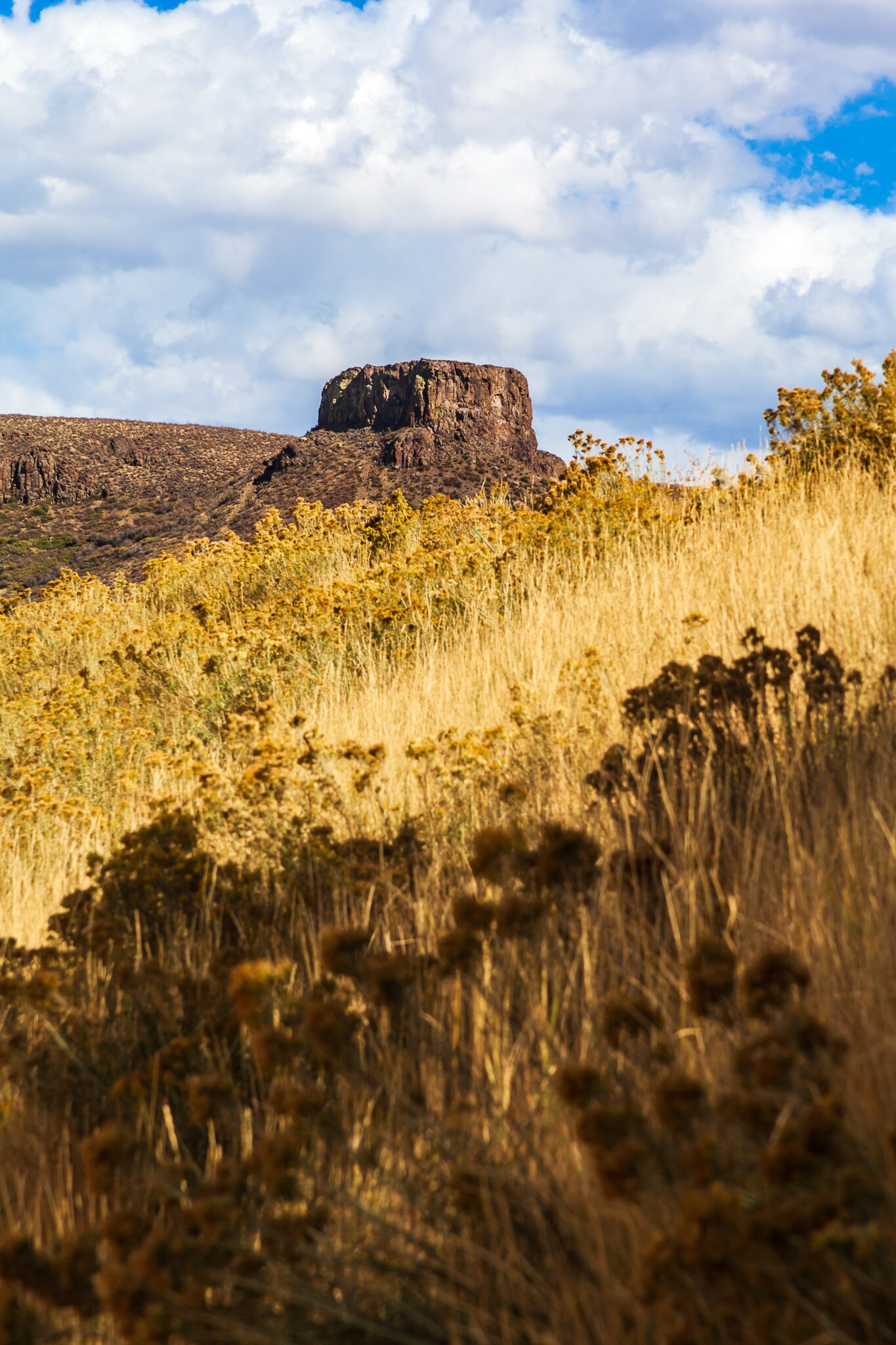 South Table Mountain Mesa Autumn in Golden, Colorado, Landscape ...