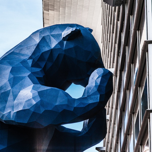 Denver Blue Bear Art - Etsy