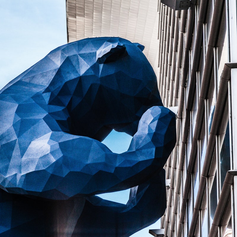 Denver Blue Bear Art - Etsy