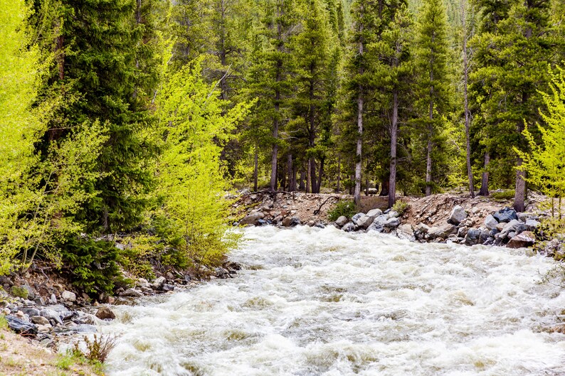 Rapids Through Officer's Gulch in the Colorado Rocky Mountains in Early ...