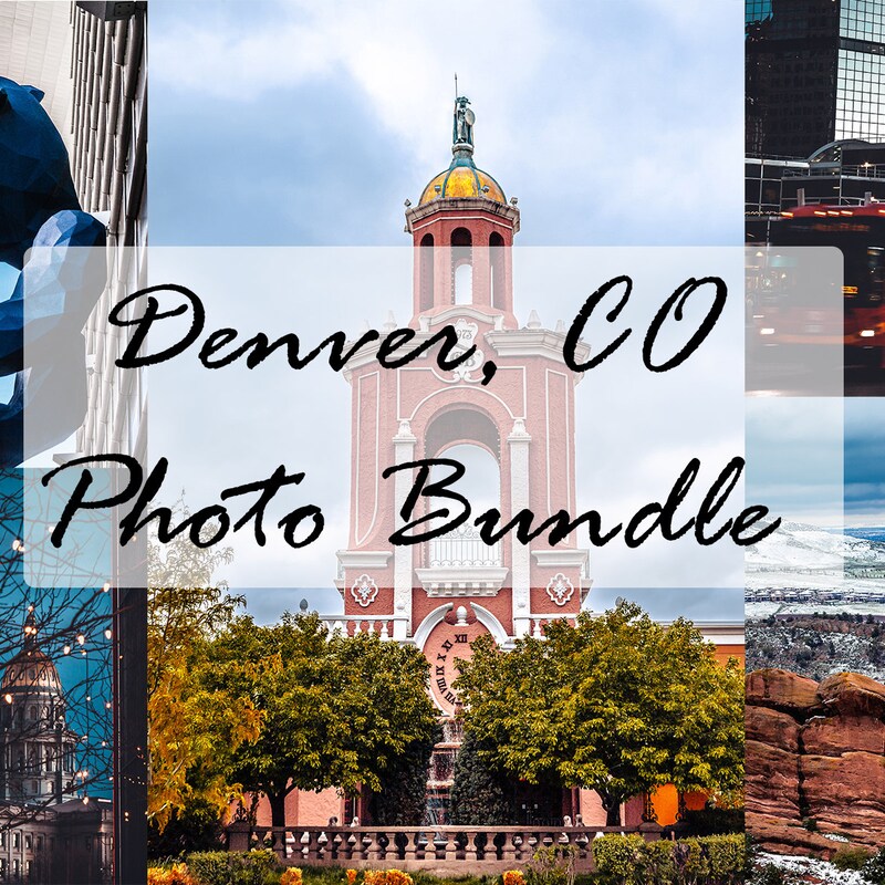 Denver Blue Bear Art - Etsy