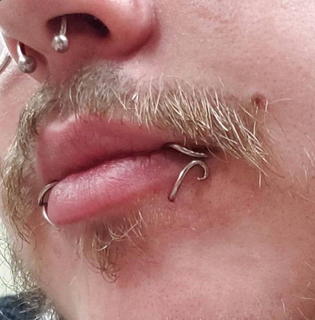 Handmade Hypoallergenic Niobium Unique Lip / Helix / Cartilage Ring ...