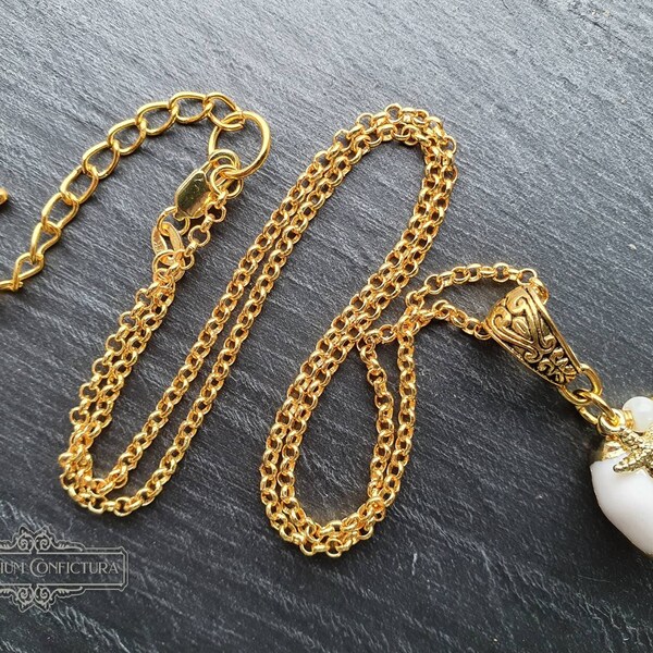 Olive Shell Pendant - Etsy