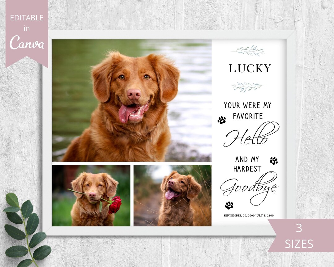 Pet Memorial Card I Editable Canva Template I Pet Loss Gift Card I ...