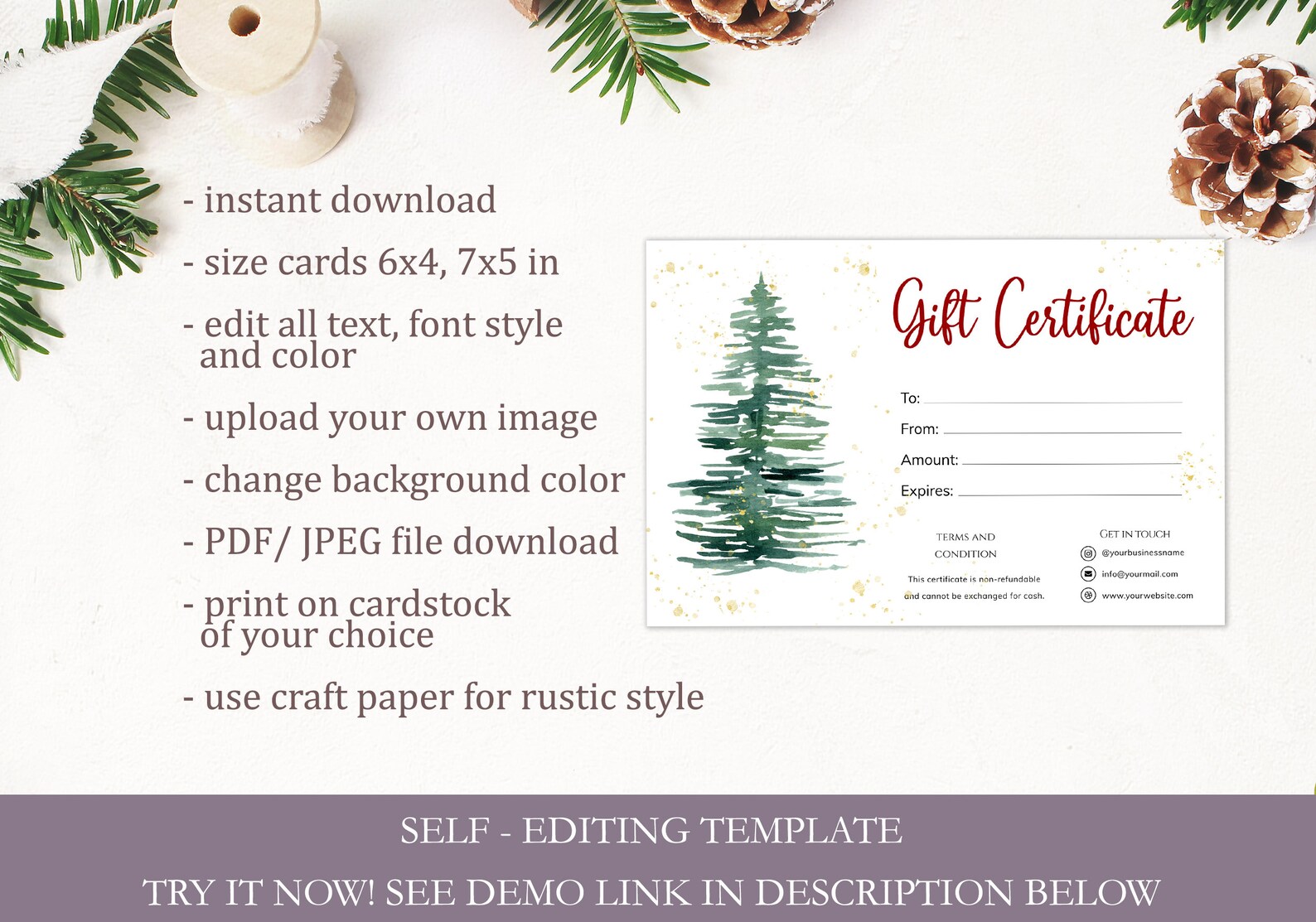 Printable Christmas Gift Certificate Winter Holidays Editable - Etsy