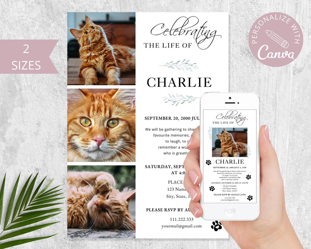 Celebration of Life | Funeral Memorial Cat I Invitation I Editable ...