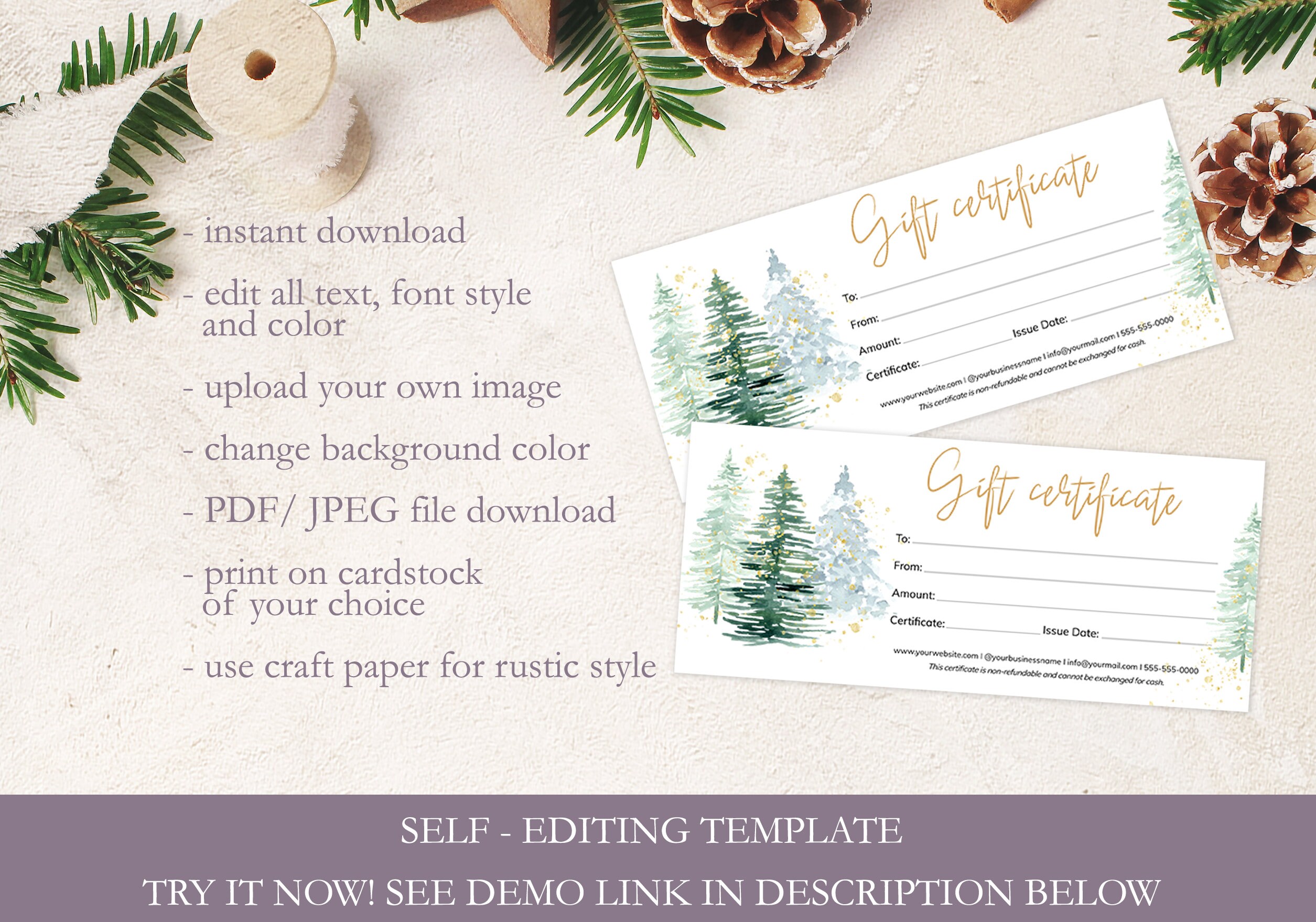 Editable Christmas Gift Certificate Winter Gift Cards - Etsy