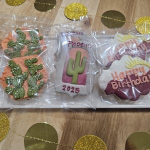 Desert / Cactus Birthday Cookies - Etsy